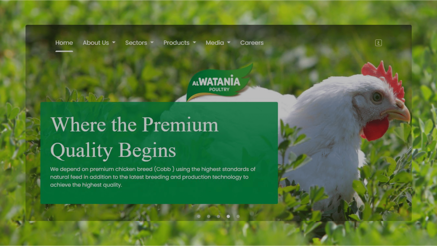Code95 | Al-Watania Poultry